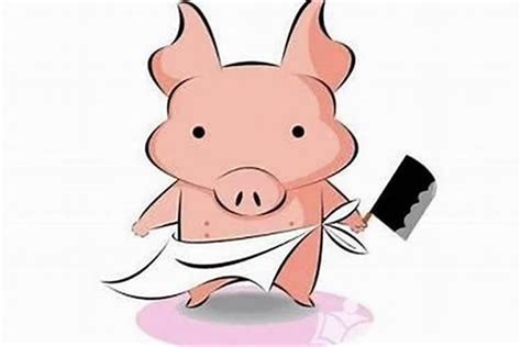属猪是9几年出生的猪年是哪几年出生的人 太岁 若朴堂文化