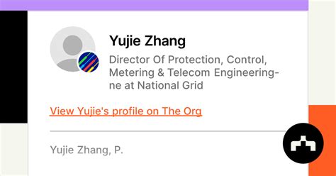 Yujie Zhang Director Of Protection Control Metering And Telecom Engineering Ne At National