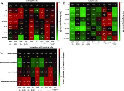 Dynamics Of Virulence Gene Expression In Planktonic And Adhered Etec