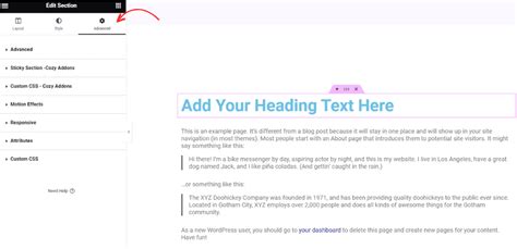 How To Add Custom Css Custom Elementor Features
