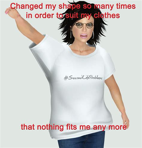 A Diary Of My Second Life My Second Life Problem