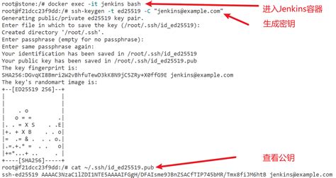 Dockerjenkinsgitee自动化部署maven项目jenkins集成gitee Csdn博客