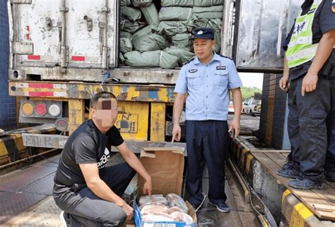 高速路上惊现走私肉！从广东中山运往河南郑州，共计1000多件27吨！粤北