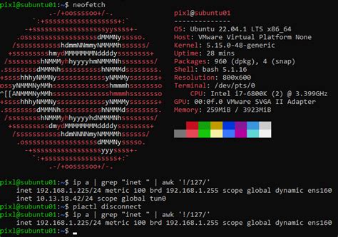 Dnsx Sometimes Eats Piped Inputs And Doesn T Pipe Out Issue 244 Projectdiscovery Dnsx GitHub