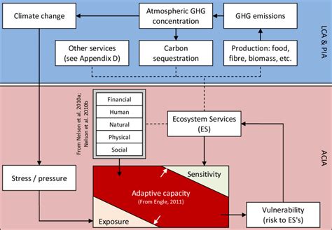 1 Conceptual Framework For Quantitative Assessment Criteria Download Scientific Diagram