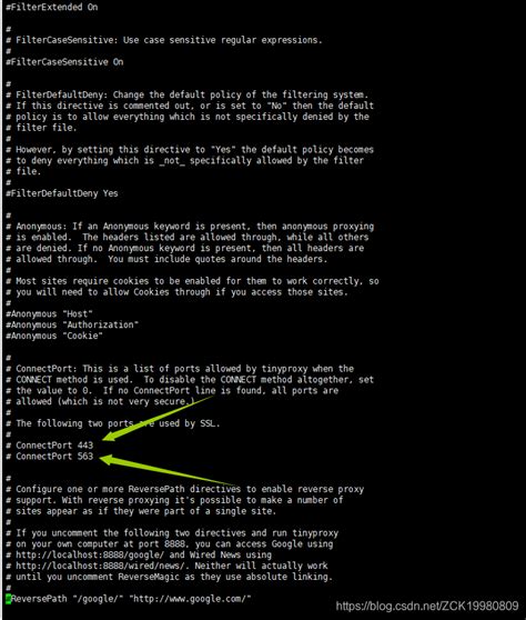 tinyproxy设置成功 chrome可以设置代理访问 xshell却不行 xshell代理不生效 csdn博客