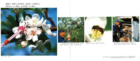 りんごみのった 監修 長内敬明 写真 菅原光二 ひさかたチャイルド