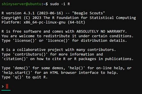 How To Install Shiny Server On Ubuntu