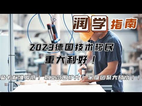 移民系列 德國技術移民大利好 藍卡標準降低 職業範圍擴大 家庭團聚大放水 German Immigration Policy YouTube