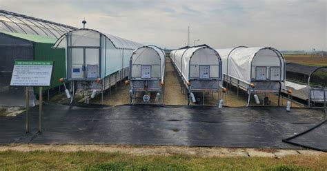 충북 설치비용 50 줄인 스마트팜 장치 개발