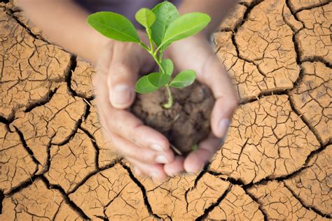 Fundamentals Of Soil Behavior Edukite