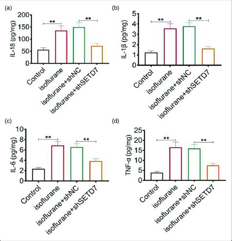 Knockdown Of Setd7 Inhibited The Release Of Inflammatory Cytokines In