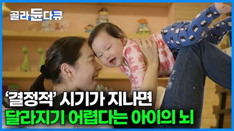 뇌 발달 감각 자극과 뇌의 연결고리