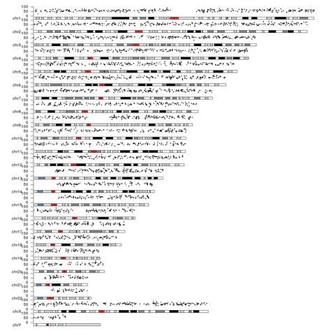 adding ggplot2 chromosome position variable