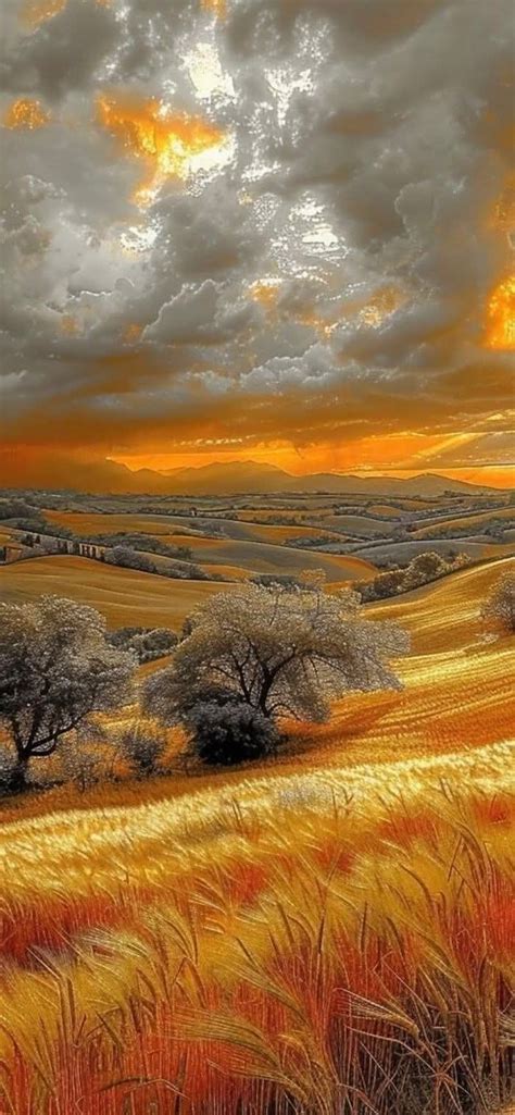 창형 ♧ 좋은 글 피하고 싶지만 피할 수 없는 것 ♧ 삶에 의미가 있다면 그것은 시련이 주는 의미다” 나치의 강제수용소에서 생사의 엇갈림 속에서도 삶의 의미를 잃지