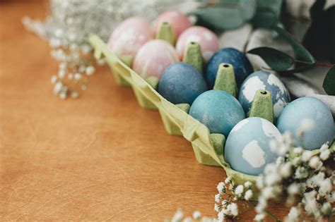 꽃과 소박한 테이블에 판지 트레이에 천연 염료 부활절 달걀 유기농 사탕무 붉은 양배추 카데카 차로 그린 현대 파스텔 핑크와 블루 부활절 달걀 제로 폐기물 휴가 계란상자에