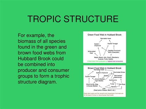PPT TROPHIC STRUCTURE PowerPoint Presentation Free Download ID
