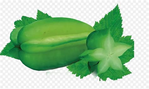 刀豆png图片素材下载图片编号9592269 Png素材网