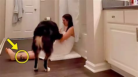 Жена продолжает запираться в ванной с собакой пока муж не замечает