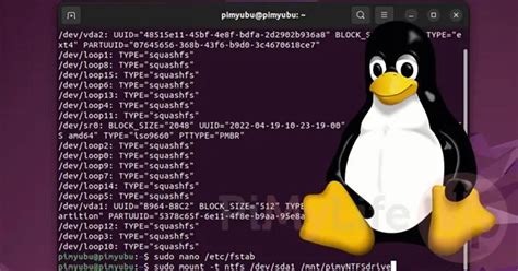 How To Mount NTFS Partitions On Linux PiShop Blog