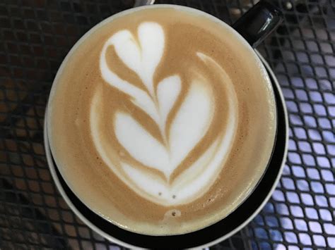 무료 이미지 컵 라떼 카푸치노 음주 에스프레소 카페인 평평한 흰색 카프 오 레이트 코르 타도 까페 마끼아또 커피 우유 리스 토렛 토 카프 아메리칸