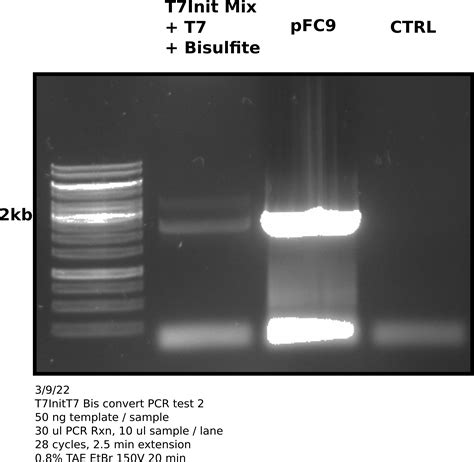 Primer Optimization Lab Notebook