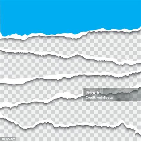 찢어진 종이 스트립 벡터 일러스트 레이 션 템플릿 찢어진 된 종이 가장자리 가장자리에 대한 스톡 벡터 아트 및 기타 이미지 가장자리 거친 공란 Istock