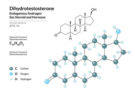 Dihydrotestosteron Dht And Haarausfall Faq And Behandlungsansätze