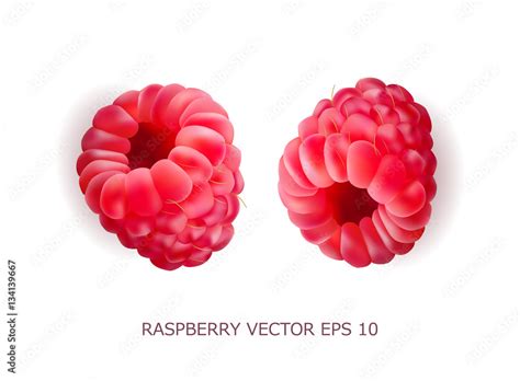 Vector Realistic Volumetric 3d Raspberry Isolated Background Design