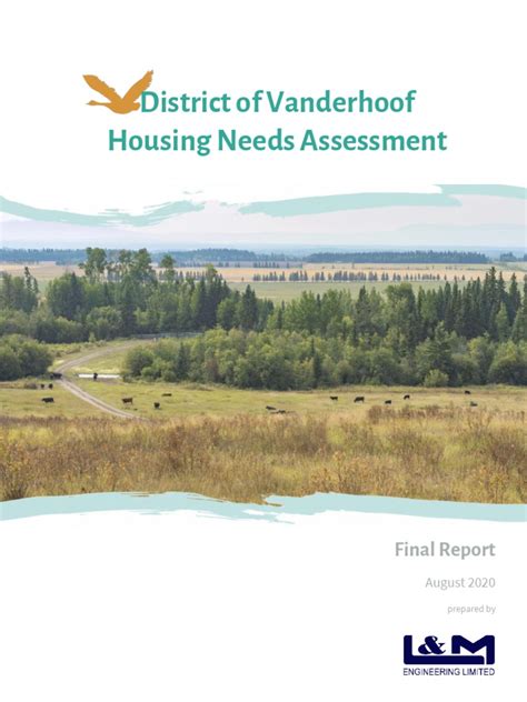 2020 Housing Needs Assessment Final Pdf Affordable Housing Census