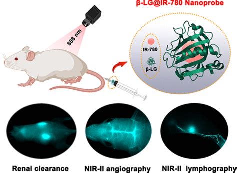 Nano Letters Vol 22 No 19 Acs Publications