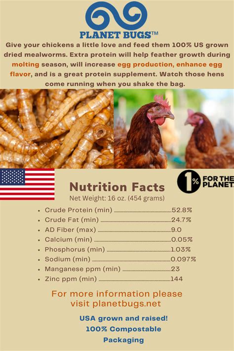 Dried Mealworms