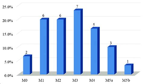 Subtypes Of Acute Myeloid Leukemia Cases N 30 Download Scientific Diagram