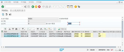 【sap 异常解决 】创建资产时单位数量缺失sap 资产数量 Csdn博客