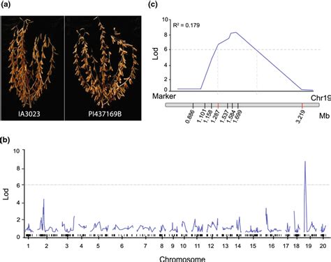 Qtl Mapping Using The Ril Population Derived From Ia3023 And Pi437169b