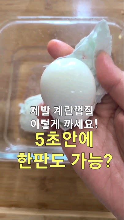 계란껍질까기계란잘까기계란까기계란계란껍질 Youtube