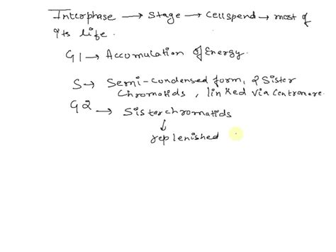 Solved During Which Of The Following Stages Of Interphase Does The