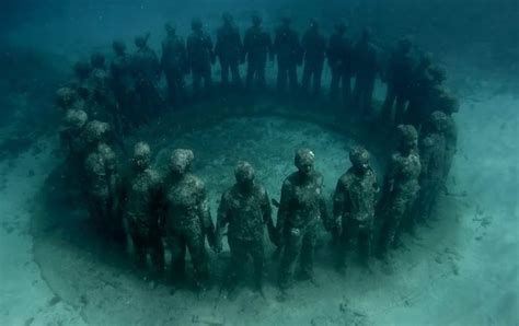 Dive Into Discovery Unearthing The Seas Most Unique And Mesmerizing Spectacles ~ Experience