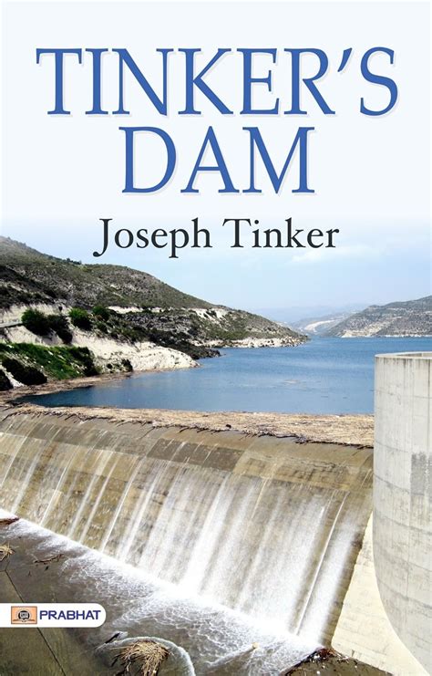 Tinkers Dam Joseph Tinkers Ingenious Inventions And