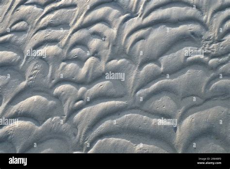 Structure In The Sand Made By Waves View On The Ground At Low Tide