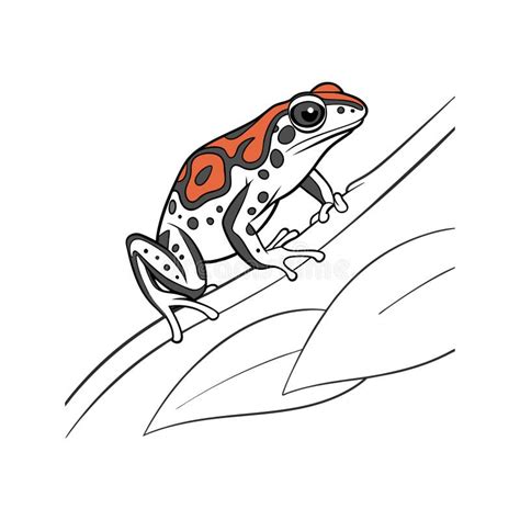 Realistic Costa Rican Variable Harlequin Toad Stock Image