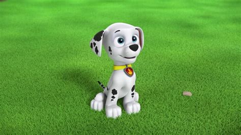 Paw Patrol S02e11a Marshall Allein Zu Haus Pups Leave Marshall Home