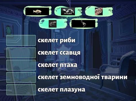 Скелет хребетних тварин Match Up