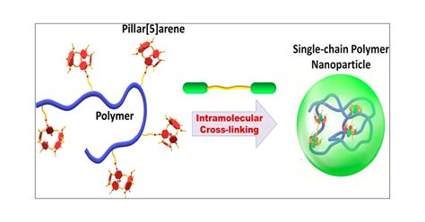 Formation Of Supramolecular Polymer Network And Single Chain Polymer Nanoparticles Via Host