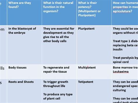 Stem Cells Gcse Biology Teaching Resources