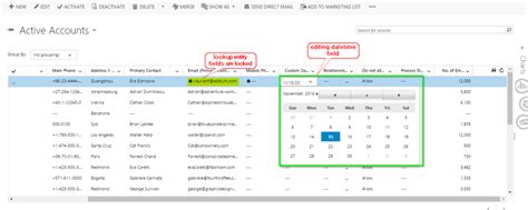 Dynamics 365 Editable Grid A Complete Guide On Configuration And Features Jeevarajan Kumar