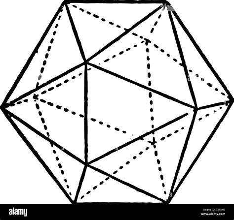 Convex Polyhedra