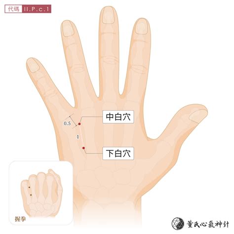 中白穴、下白穴（左手） 董氏心氣神針