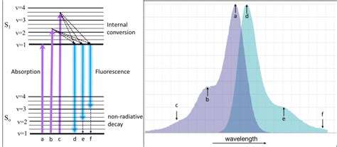 Overview Of Fluorescence Omega Custom Optical Filters