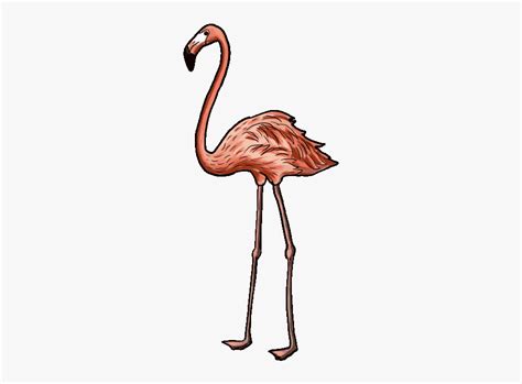 Drawing Flamingos Step Transparent Png Clipart Free Greater Flamingo Free Transparent